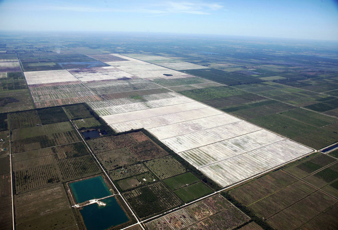 Precision Land Leveling - Complete Farm Development - Precision Land ...